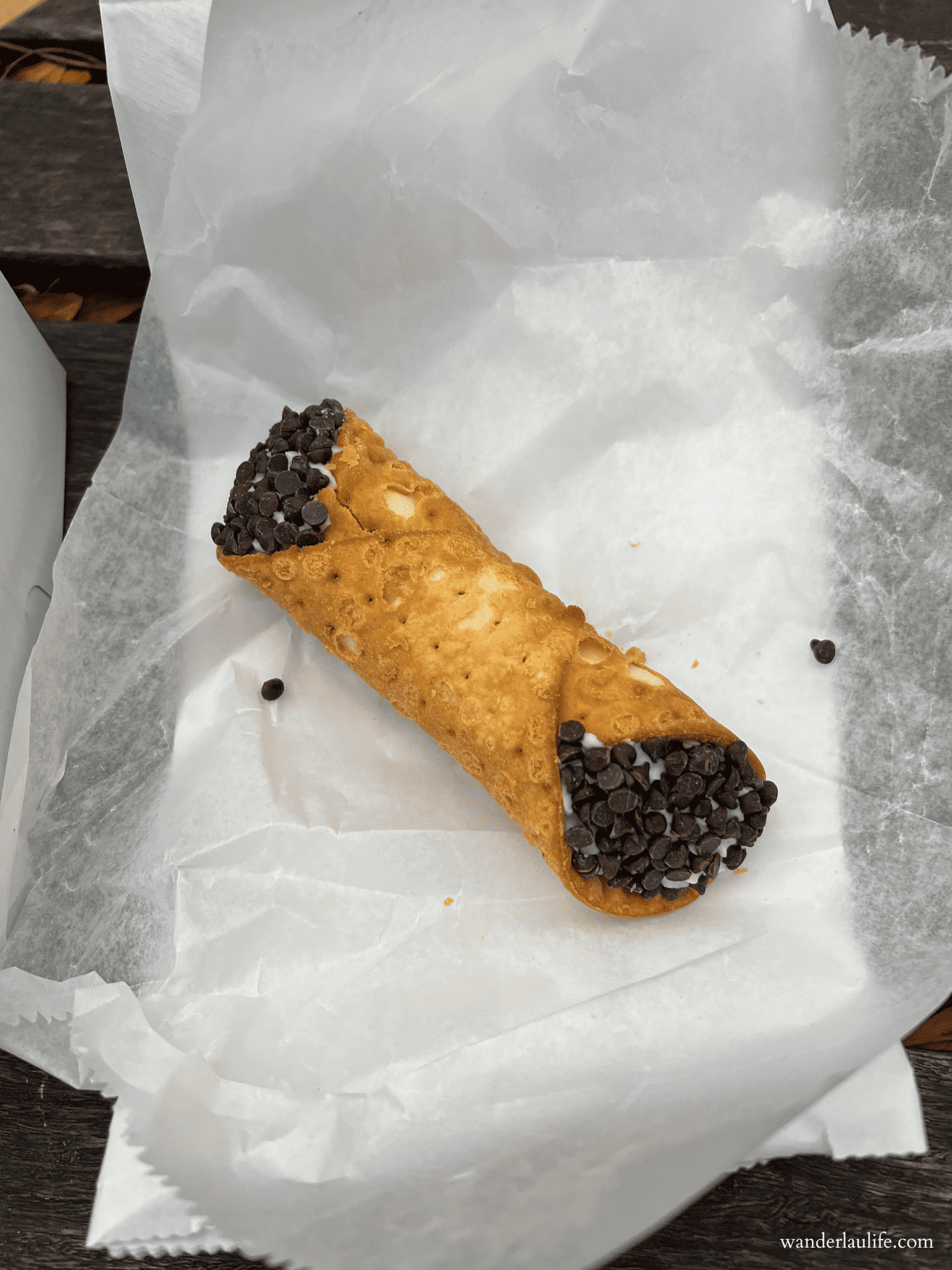 The Best Cannoli in Boston - wanderlaulife